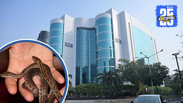 12 Python Babies Spotted at SEBI Building in BKC in Mumbai | सेबी भवनामध्ये एकामागोमाग आढळली १२ ...