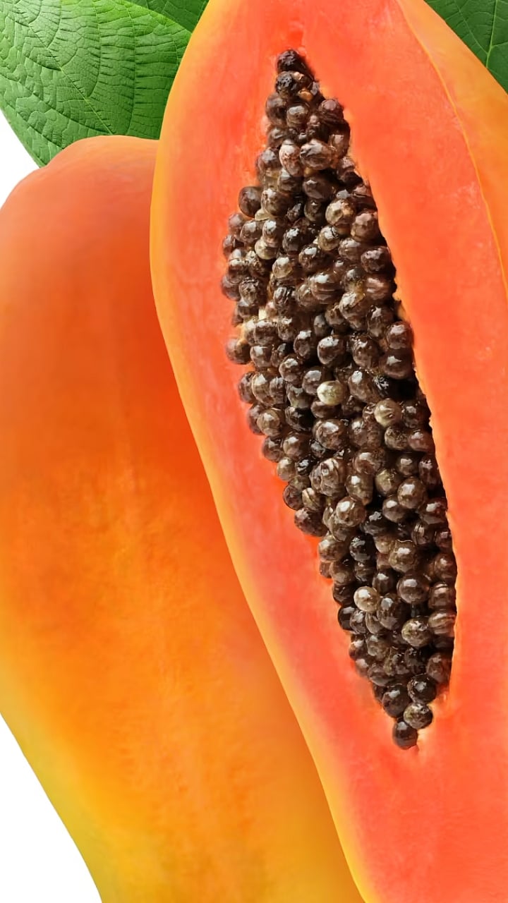 पपईच्या बिया: कचरा नव्हे, आरोग्याचा खजिना|Papaya Seeds, Uses, Benefits
