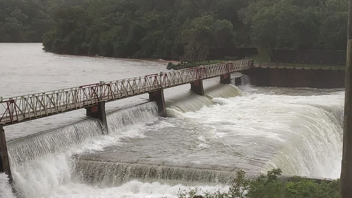 Kolhapur Weather Update : जूनमध्येच राधानगरी धरण निम्म्यावर, कोल्हापूर ...