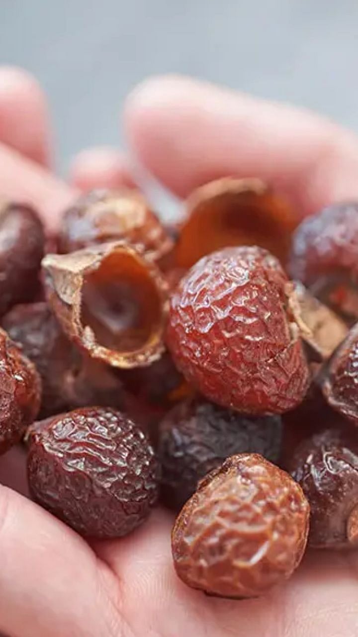 Reetha Benefits : रीठा फक्त केस धुण्यासाठीच नाही, तर 'या' आरोग्यासाठी ...