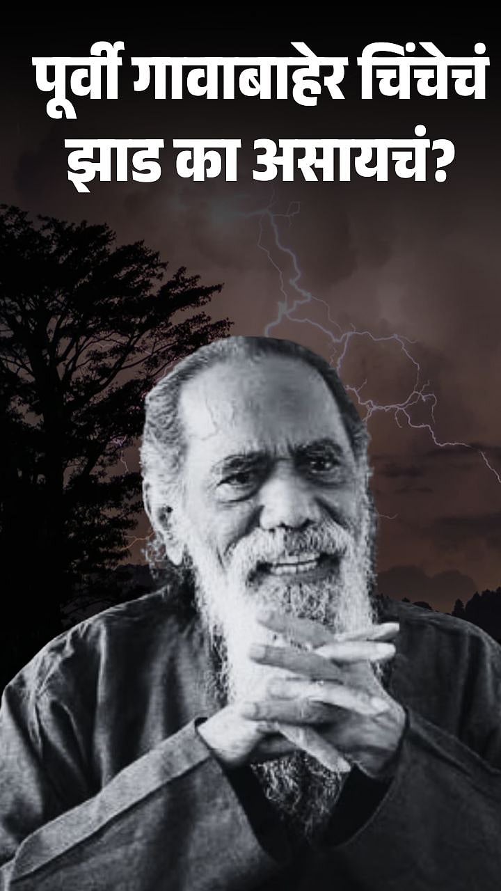 Why Tamarind Trees Were Planted Outside Villages | Scientific Insight ...