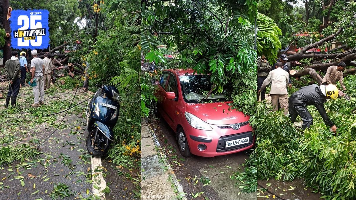 Pune News : पुण्यात निशिगंध इमारतीसमोर झाड कोसळले; सी-डॅक कॉलेजची ...