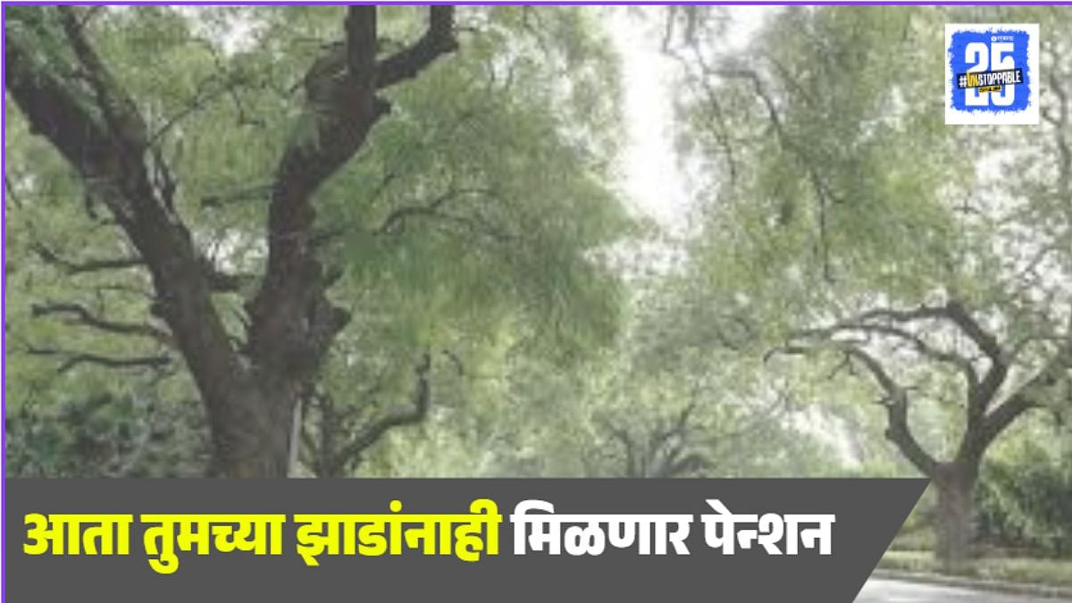 Trees pension what is Pran Vayu Devta Yojana | प्राण वायु देवता ...
