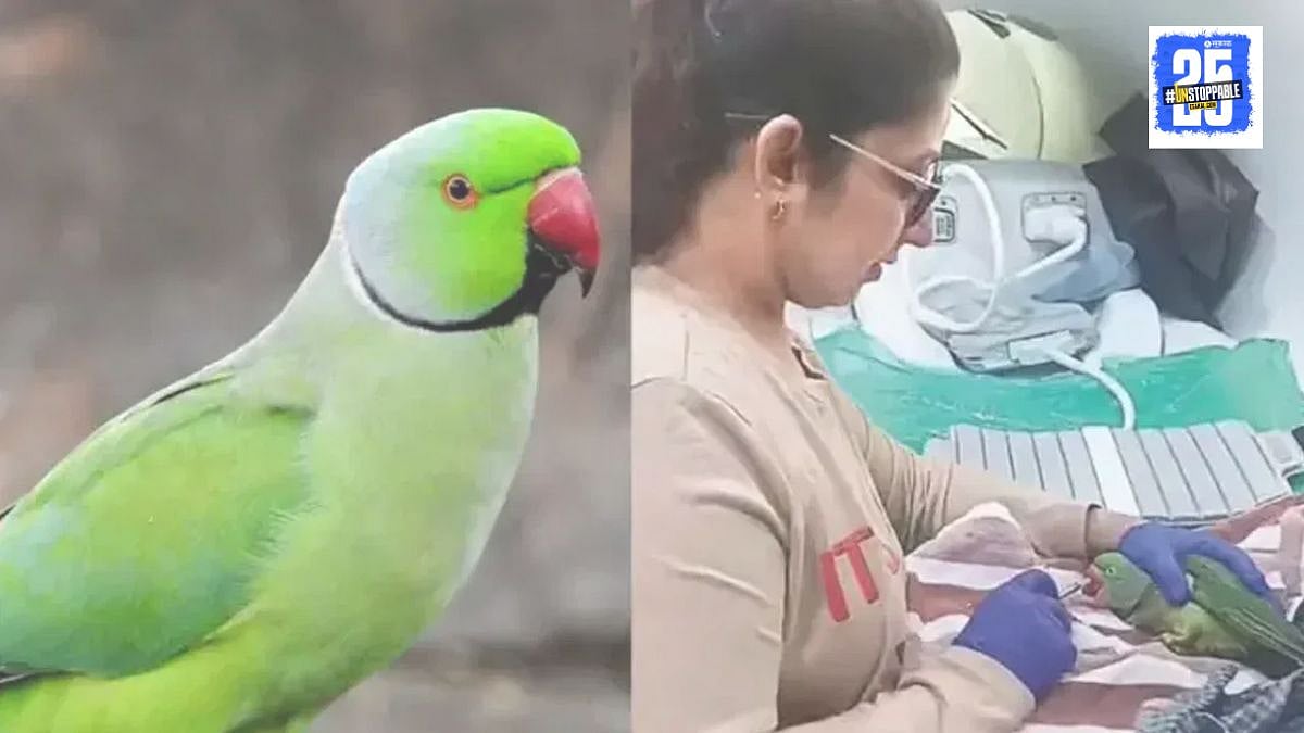 MRI test on parrot in Mumbai |मुंबईत पोपटावर एमआरआय चाचणी