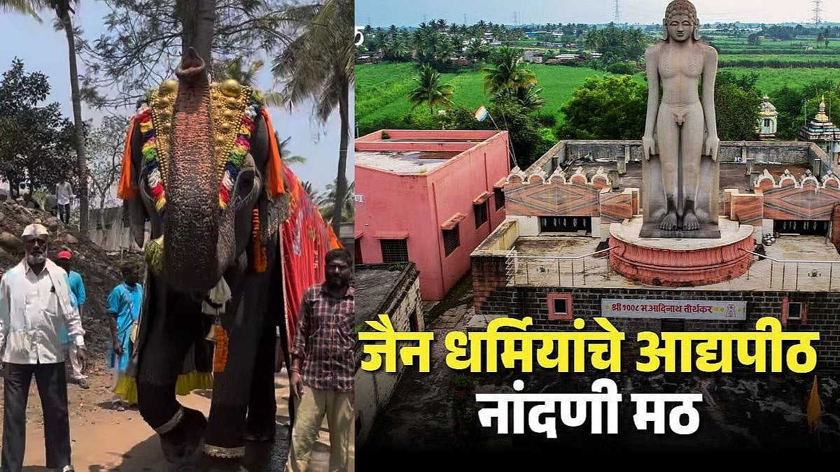 Nandani Math Elephant : महाराष्ट्र, कर्नाटकातील जैन समाजाच्या ७४८ गावात ...