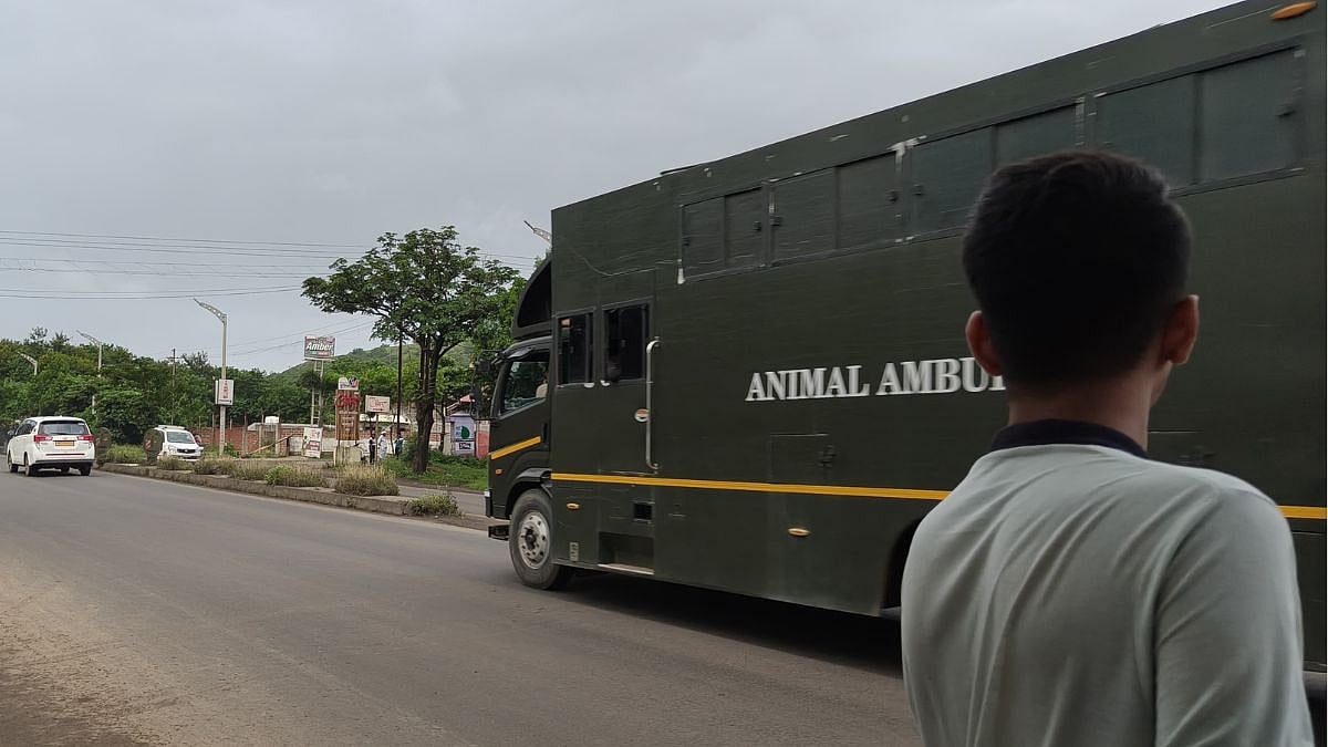 Vanatara Team Nandani : 'महादेवी' हत्तीणीला नेण्यासाठी अंबानींच्या ...