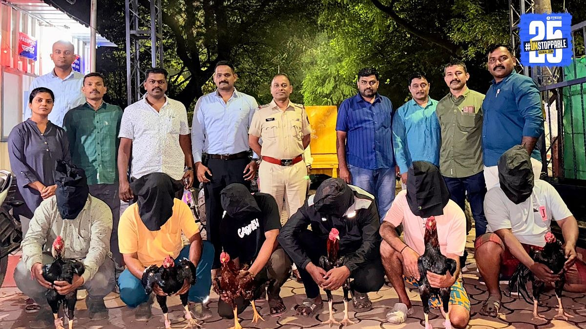 Pune Crime : पुण्यात ऐकावे ते नवलच! दिवाळीनिमित्त फायटर कोंबड्यांची ...