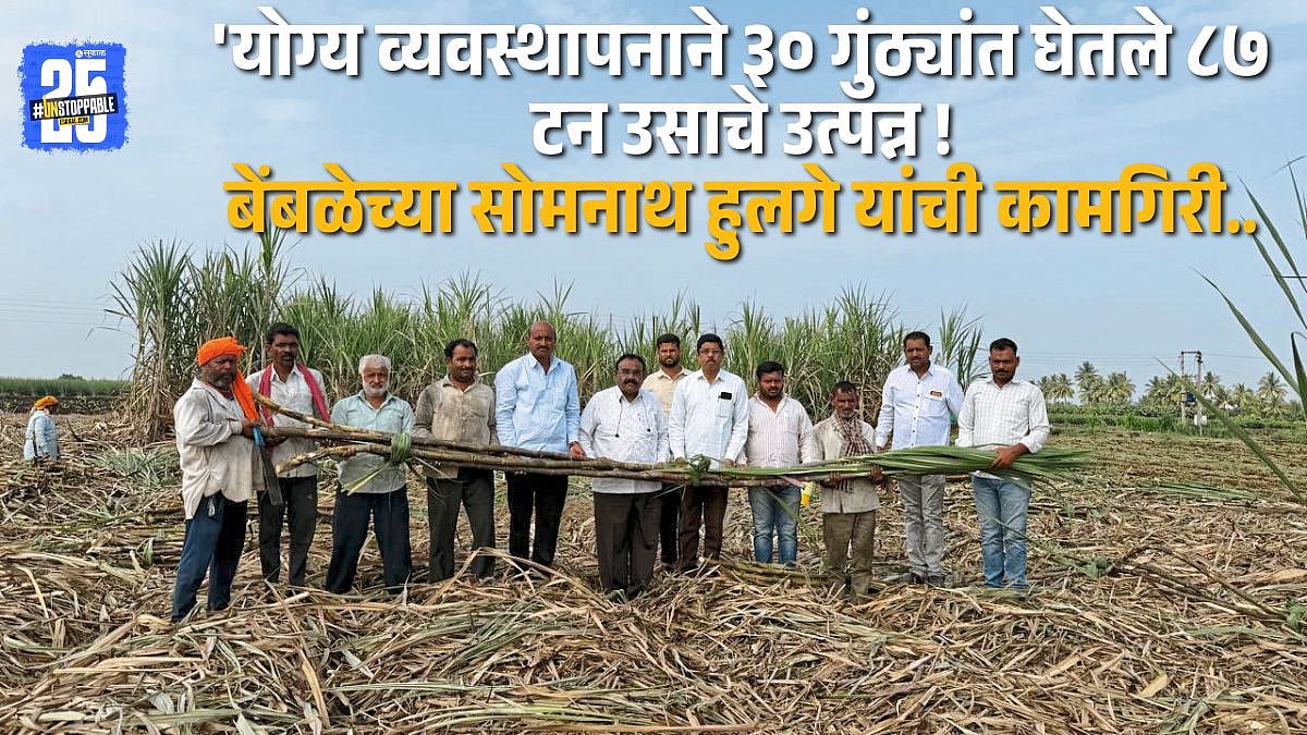 Farmer Success Story: 'योग्य व्यवस्थापनाने ३० गुंठ्यांत घेतले ८७ टन ...