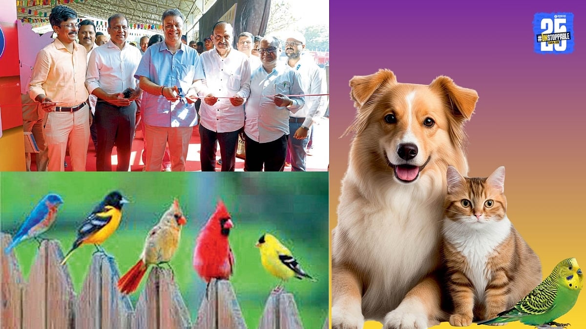 Nashik Sakal Petopia Carnival : नाशिककरांसाठी 'पेटोपिया ...