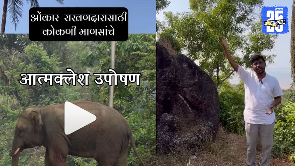 Viral Video Omkar Elephant : कांताराचं रुप असलेला ओंकार हत्ती वनतारात ...