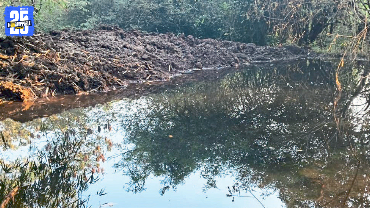 कोल्हापूर तलाव प्रदूषण: राजाराम तलाव वाचवण्यासाठी जलतरण मंडळाची झुंज ...