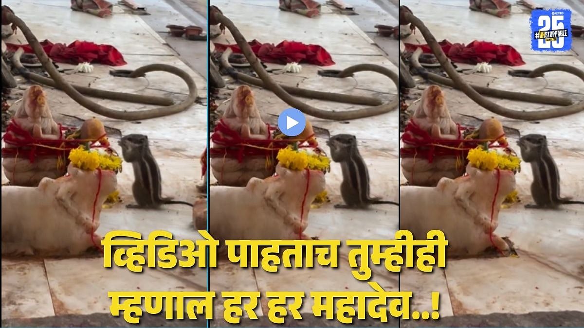 Viral Video: हर हर महादेव..! खारुताईने चक्क महादेवासमोर जोडले हात ...