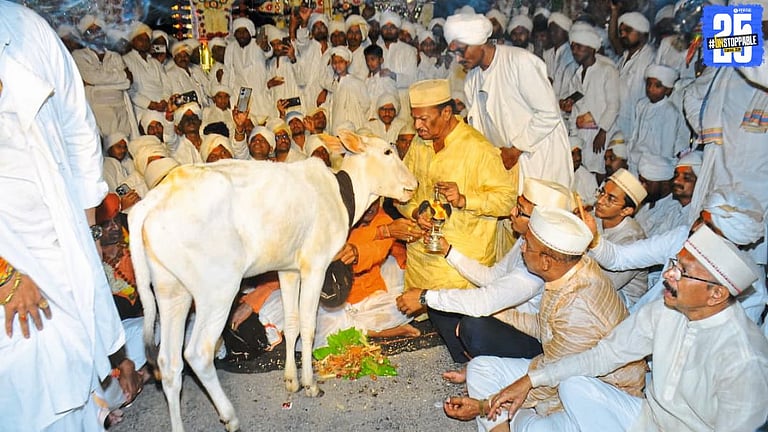 सोलापूर भाकणूक: वासराच्या हालचालींवरून पावसाचे संकेत, महागाईचा इशारा ...