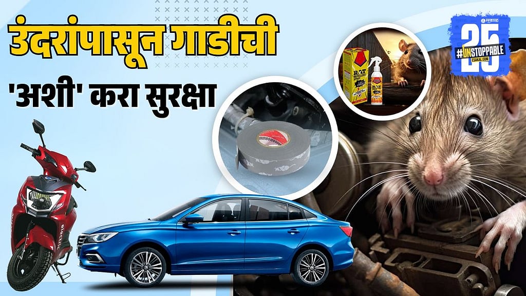Rat Damage in Cars E-bikes, Vehicle Protection Tips, Rodent Prevention|Car-Bike Safety Tips ...