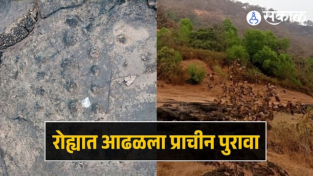 1000 years before Mankala game found at Birwadi and Ghosalgad forts in ...