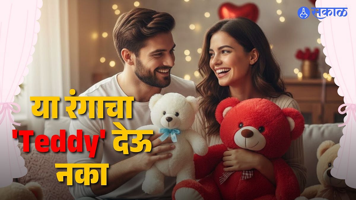 Best Teddy Colors to Impress Your Partner | Teddy Day 2026: या रंगाचा ...