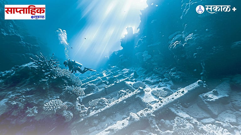 Marine Biology सागरतळातील अंधाऱ्या गर्तांतील नवे सजीव आणि डार्क ...