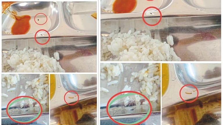 Shivaji University hostel food issue|शिवाजी विद्यापीठ वसतिगृहातील ...