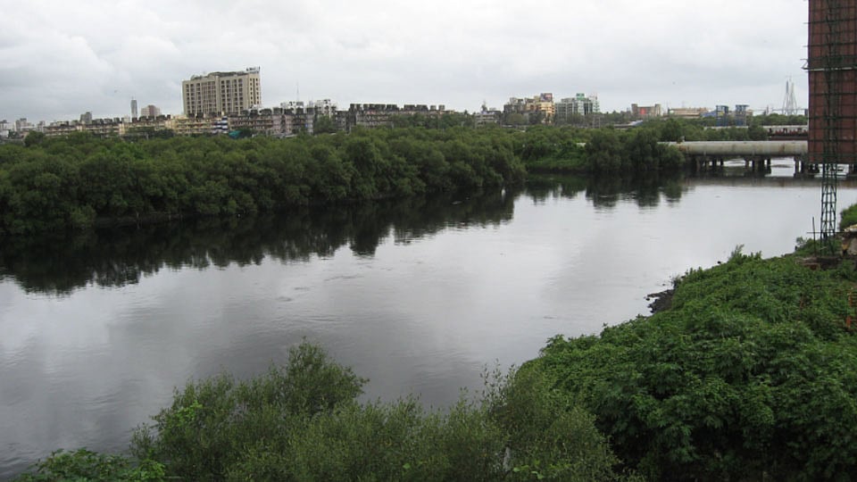 मुंबई : मिठी नदीसह मोठे नाले घेणार मोकळा श्वास | Mumbai Mithi River