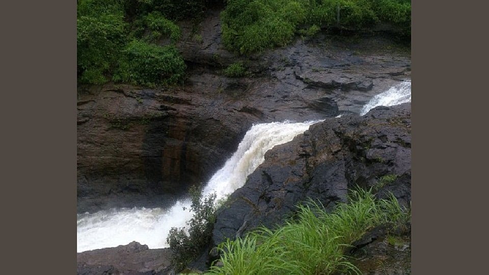 लोकांची नजर चुकवून १३ जण गेलेत धबधब्यावर पिकनिकला, तिथेच गाठलं मृत्यूने ...