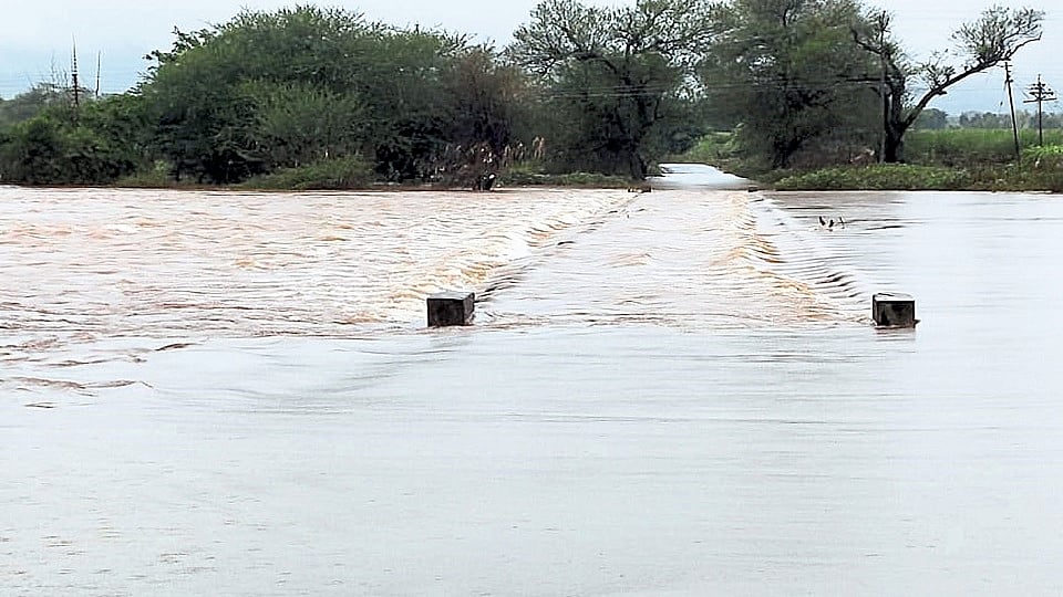 गडहिंग्लजमध्ये हिरण्यकेशी नदीला यंदा तिसऱ्यांदा पूर, "या' तीन ...