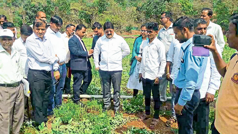 ती करते शेतामध्ये नविन प्रयोग मात्र 'यांची' मिळेना तिला साथ...