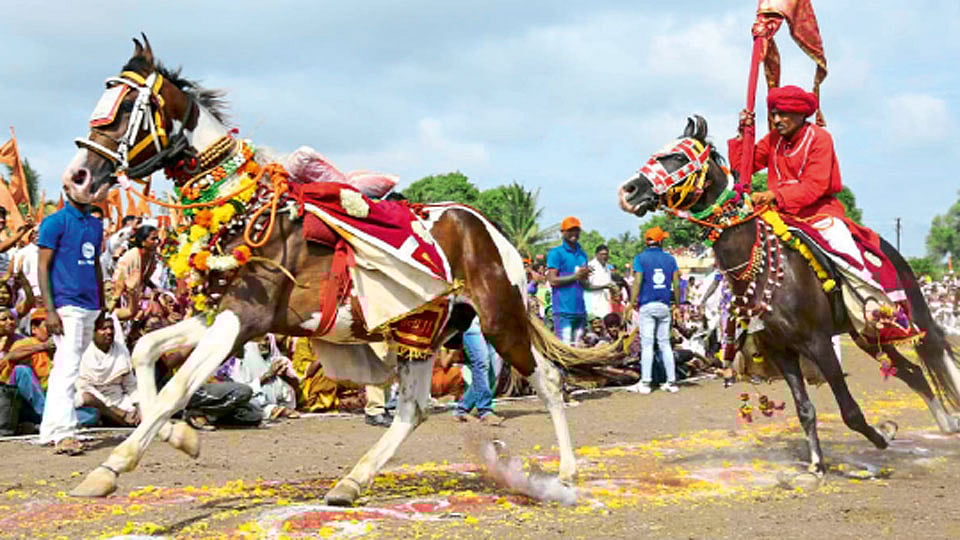 Wari 2019 : भक्ती, शिस्त आणि शक्तीचे विद्यापीठ