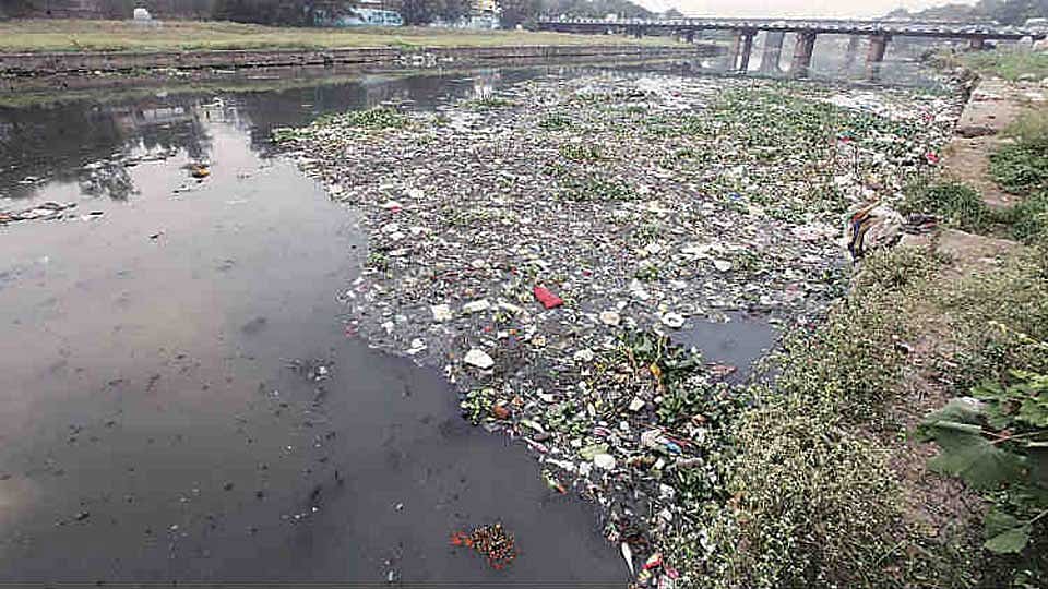 River Pollution : पुण्यात नदी प्रदूषण जोरात अन् सुधारणा संथ River ...