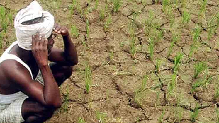 Nashik News: शेतकरी पुत्रांचा सोशल मीडियावर कोरडा दुष्काळ ट्रेंड ...