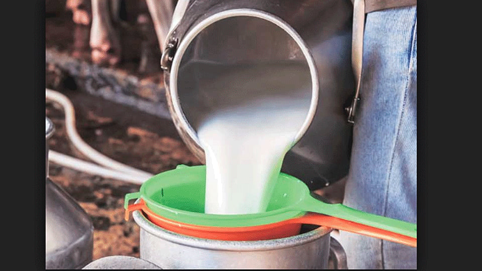 Amul Milk, Mother Dairy price hike : अमूल, मदर डेअरीचं दूध २ रुपयांनी ...