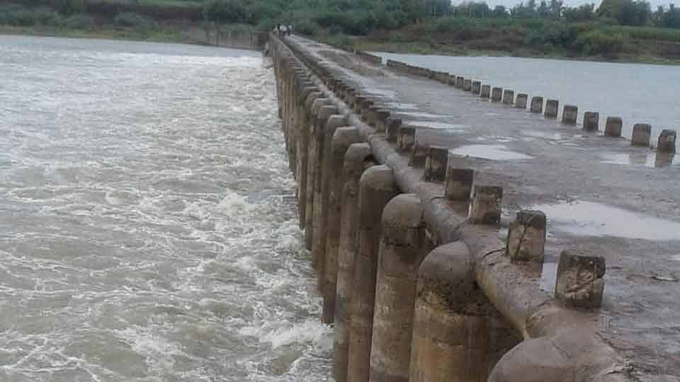 वीर धरणातून सोडलेले पाणी हिळ्ळी बंधाऱ्यात दाखल
