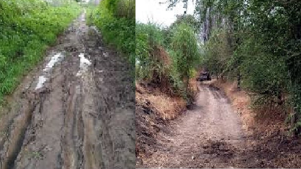 सांगलीत पाणंद रस्त्यावरील चिखलामुळे शेतकऱ्यांची दमछाक