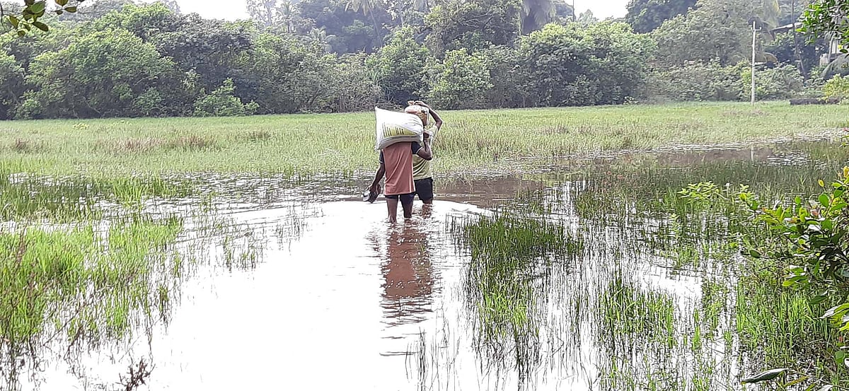 घर गाठण्यासाठी रोज कंबरभर पाण्यातून प्रवास