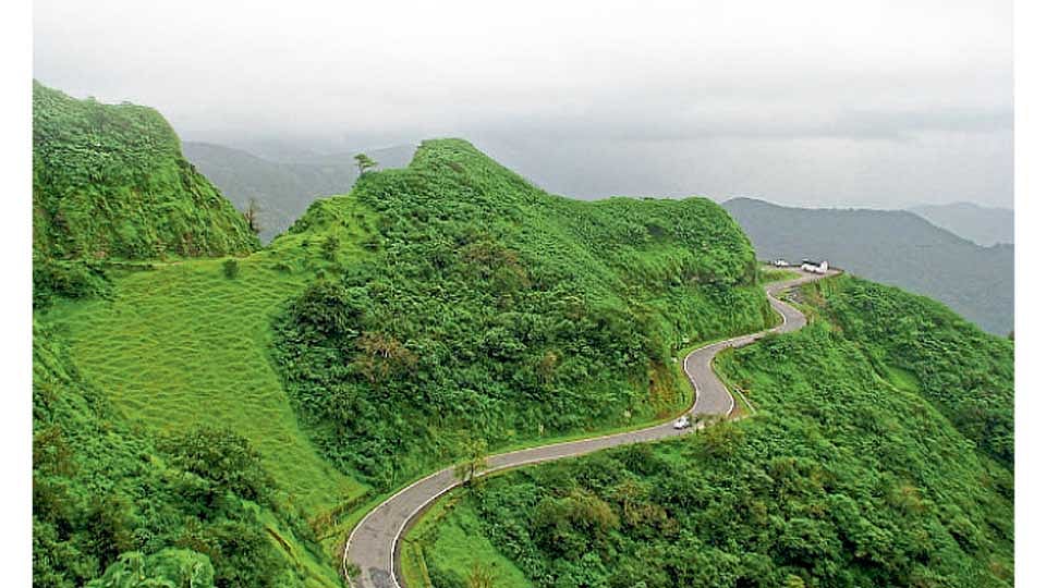 गगनबावडा परिसरावर हिरवाईची झालर