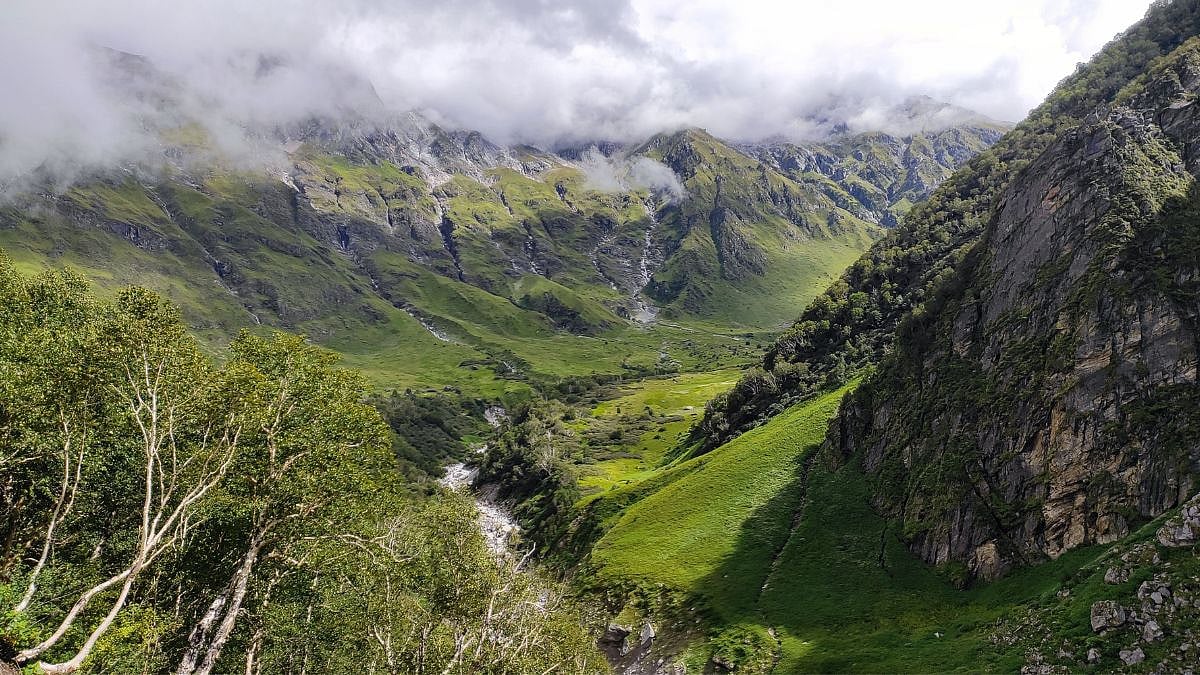 Valley of Flowers Opens For 2026 Season: Entry Fees, Best Time To Visit ...