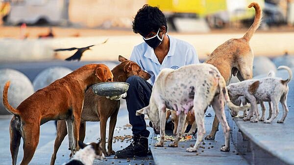 Stopping someone from feeding strays in non-designated areas is not ...