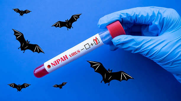 EXPLAINER | What is Nipah virus? And what makes it so deadly?
