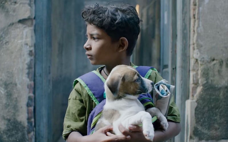 Chippa On Netflix Review: An Ode To The Child In You That Grew Up Long Ago