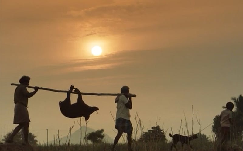 IFF Kerala 2021, Seththumaan: Thamizh Makes An Impressive Directorial ...