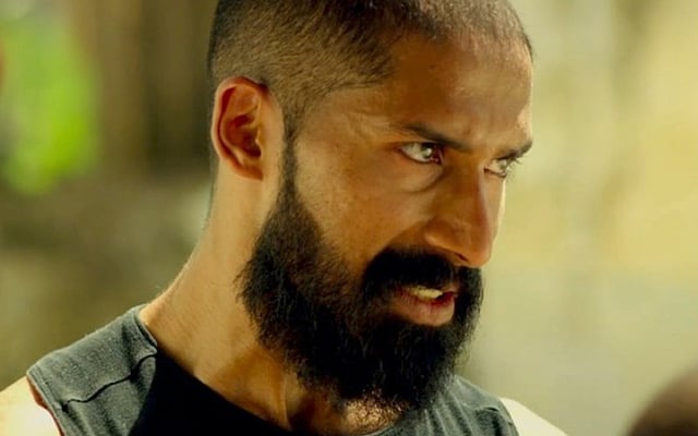 The Kung Fu Master Will Be Appreciated For Its Action: Sanoop Dinesh