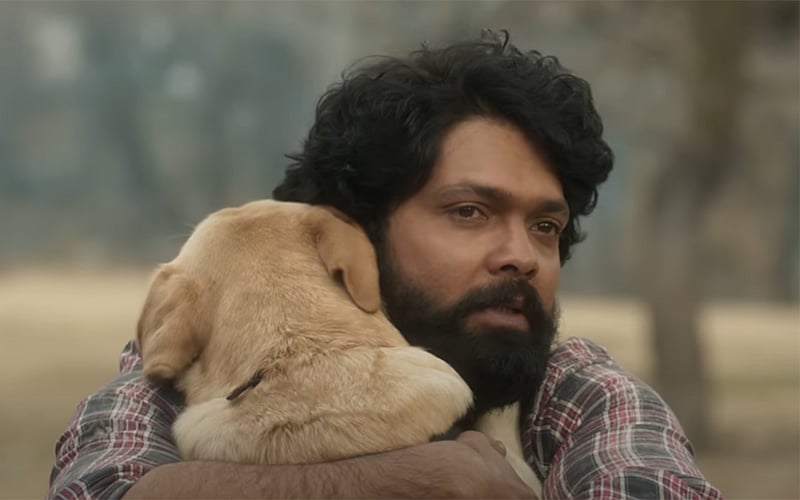 777 Charlie Trailer Talk: Rakshit Shetty’s Film Hints At An Emotional ...