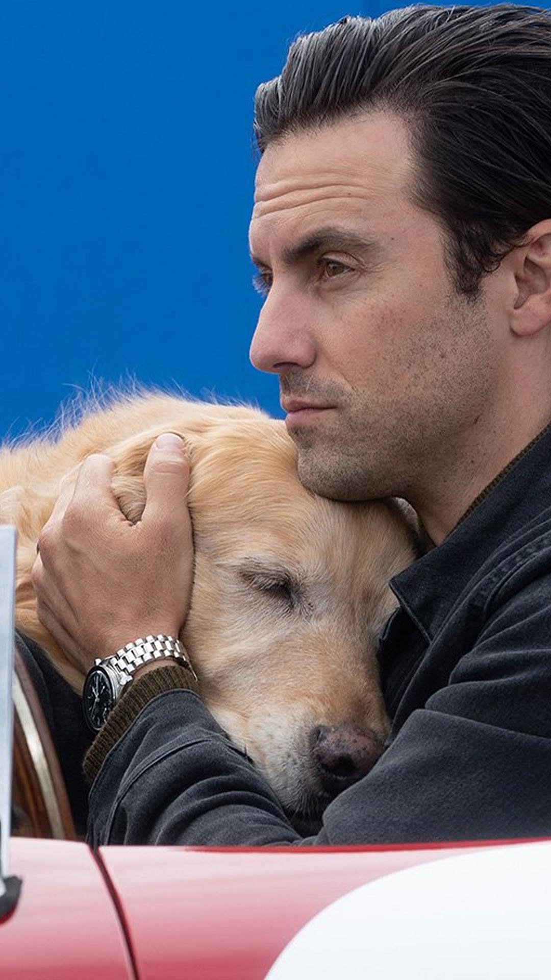 Doggone it: 12 Dog Movies to Add a Boop to Your Day