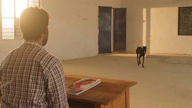 Maamannan, Karnan, Pariyerum Perumal: The Animal Anatomy Of A Mari ...