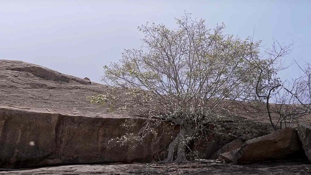 I Felt It Would’ve Been Wrong to Give A Resolution in Pebbles: PS Vinothraj