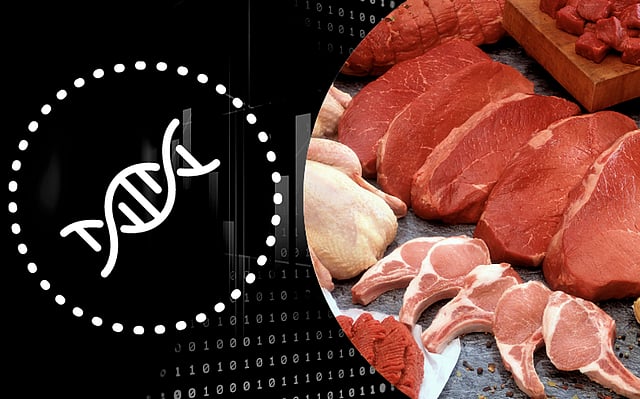 SGS expands capabilities with Advanced Centre of Testing at Chennai ...