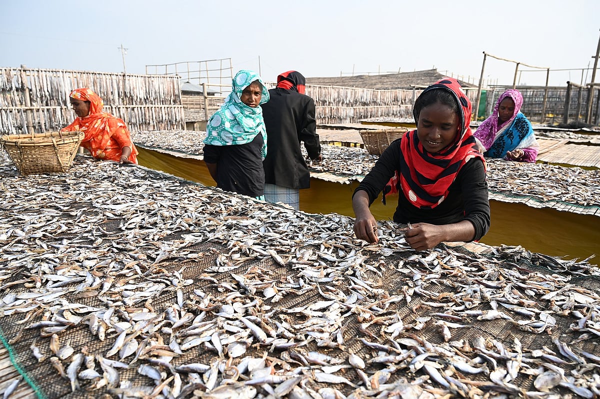 New food processing policy to strengthen unorganized food processing units