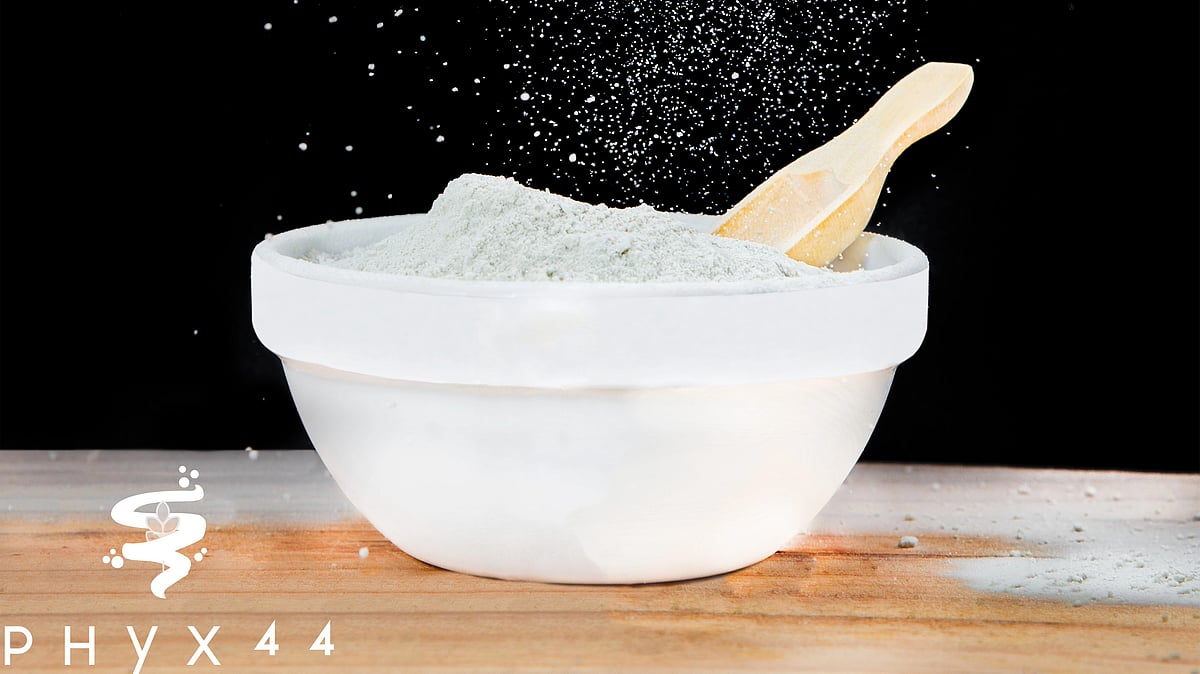 Phyx44, the first full-stack precision fermentation startup in India ...