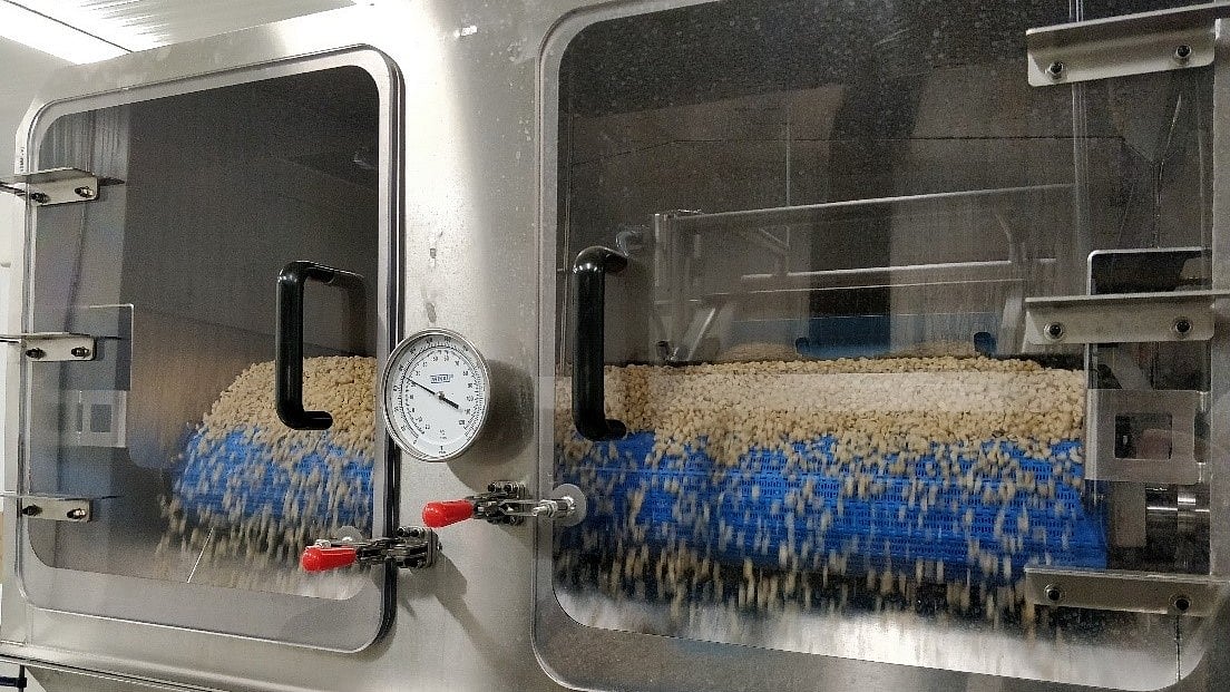 Nuts Pasteurization: Learn from Laitram Machinery why it is important