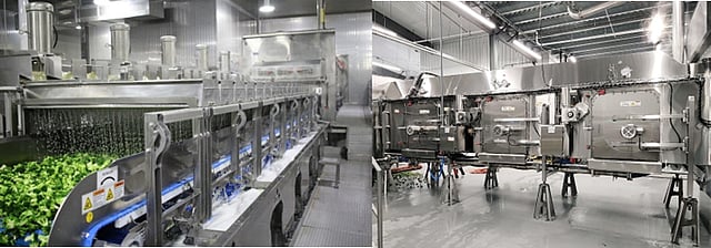 The CoolSteam Blancher: A versatile and efficient solution for ...