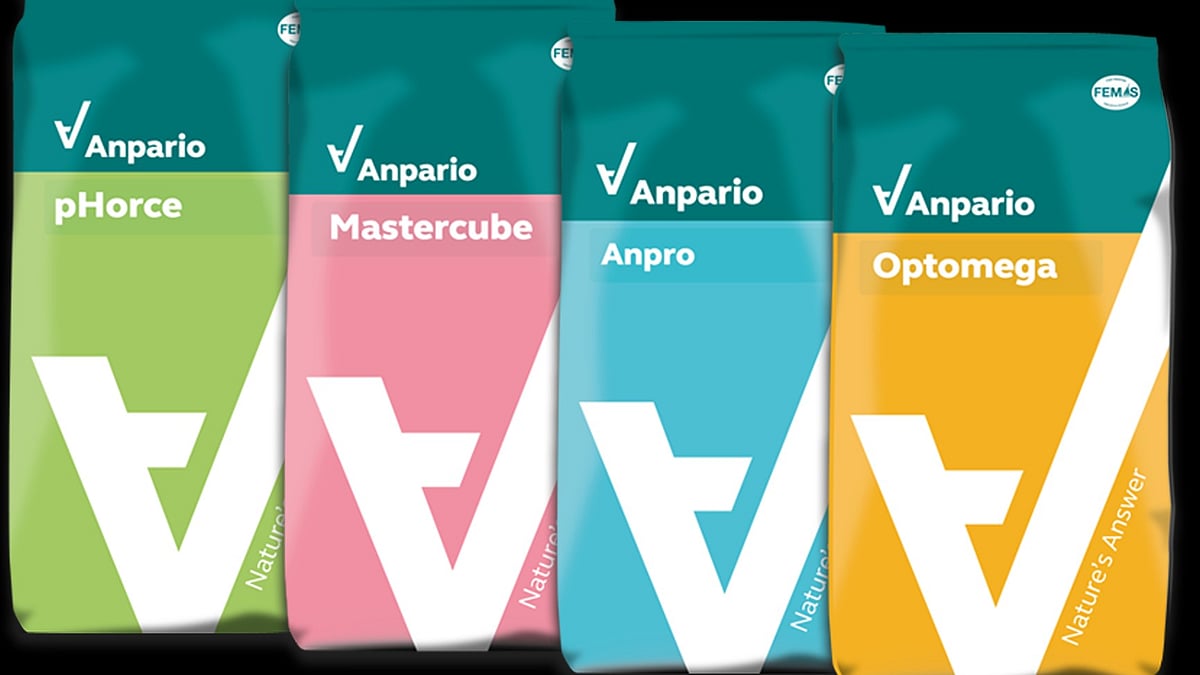 Promtek process control drives Anpario’s automation ambitions